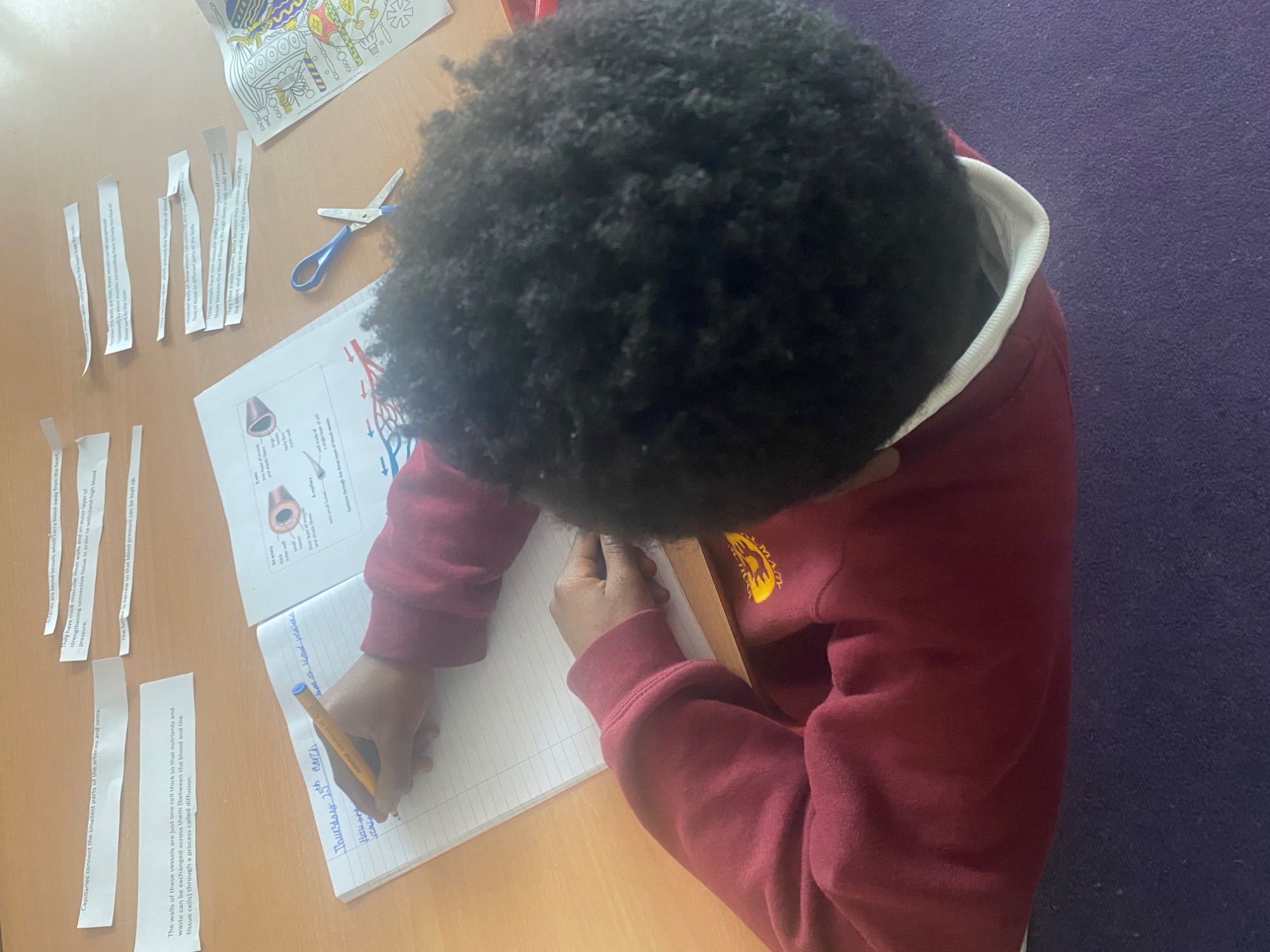 Dalmain Primary School - Curriculum